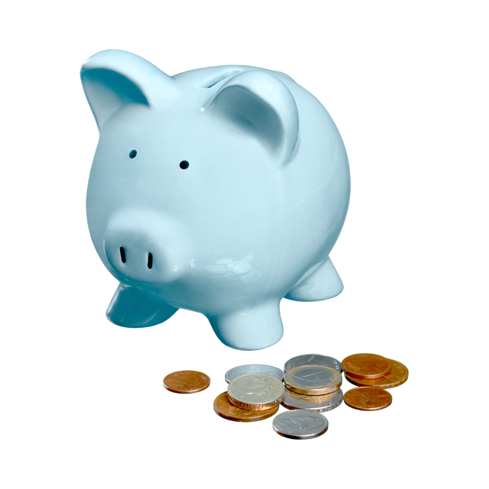 Begroting - Personeelsned